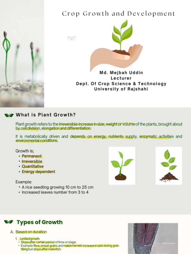 Plant Growth Factors and Types Explained | PDF | Plant Nutrition ...