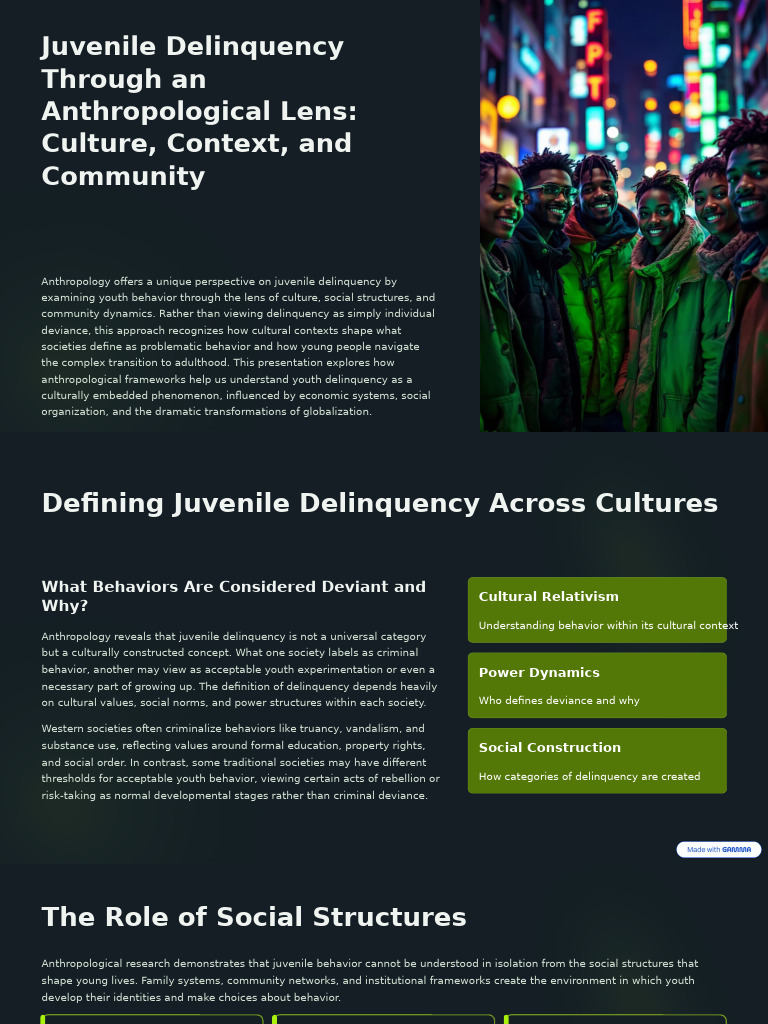 Juvenile Delinquency Through an Anthropological Lens Culture Context ...