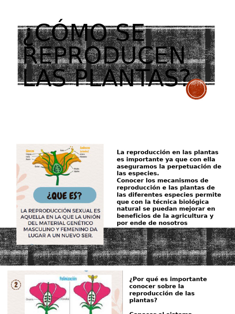 Cómo Se Reproducen Las Plantas | PDF