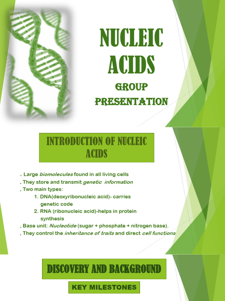 Nucleic Acids: DNA & RNA Overview | PDF | Gene | Dna