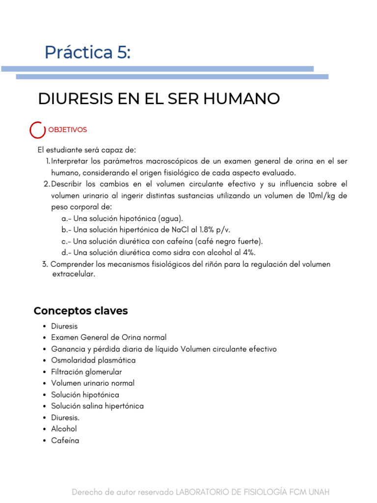 Diuresis y Examen de Orina en Humanos | PDF | Riñón | Sistema urinario