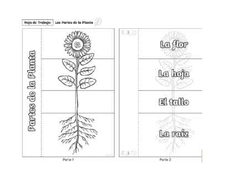 Ciencias La Planta Adaptain Kinder | PDF