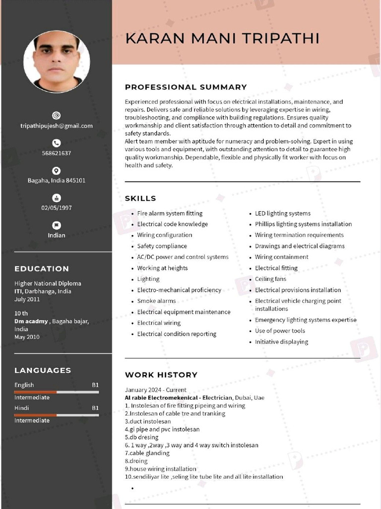 PDF Karan Tripathi CV Ditels | PDF