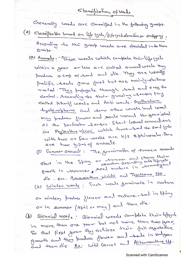 Classification of Weed | PDF