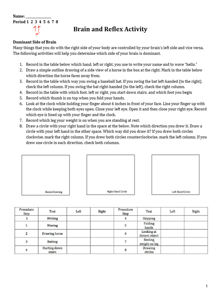 Reaction Time Reflex Lab | PDF | Urination | Neuroscience