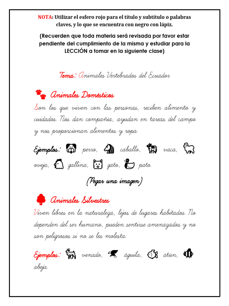 Animales y Su Habitat | PDF | Selva | Alimentos