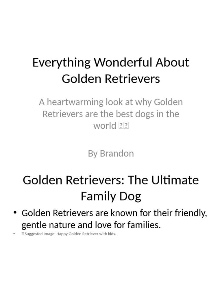Golden Retrievers Presentation by Brandon | PDF | Retriever | Dogs