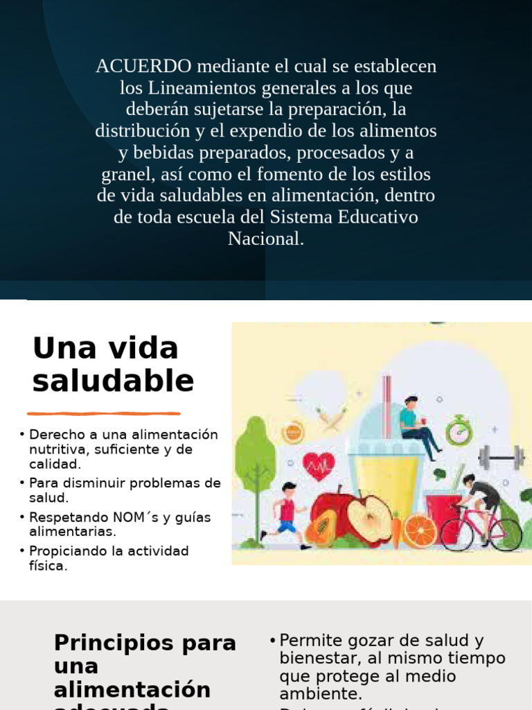 ACUERDO Mediante El Cual Se Establecen Los Lineamientos | PDF