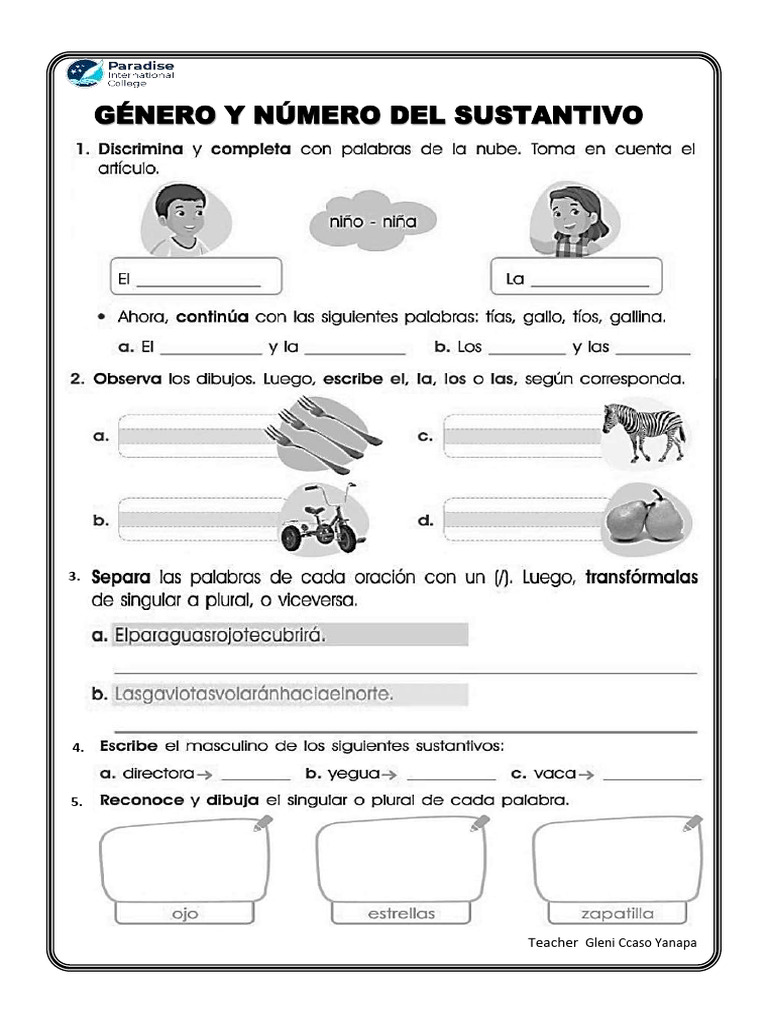 Genero y Numero Del Sustantivo | PDF
