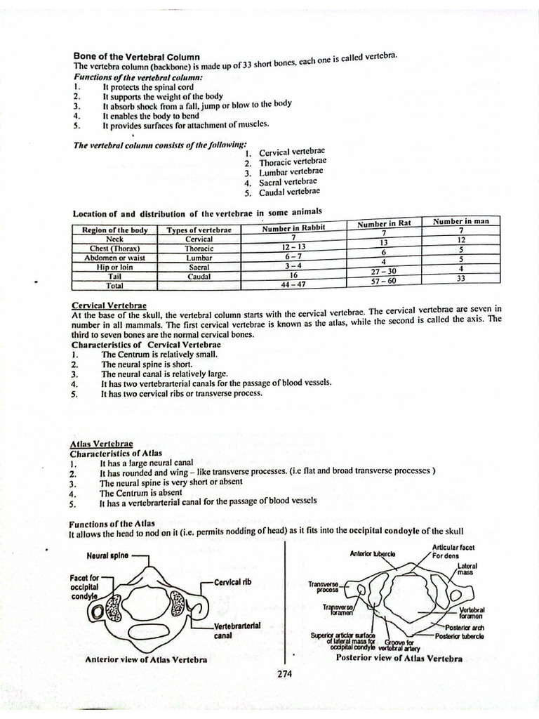 Biology Skeleton | PDF
