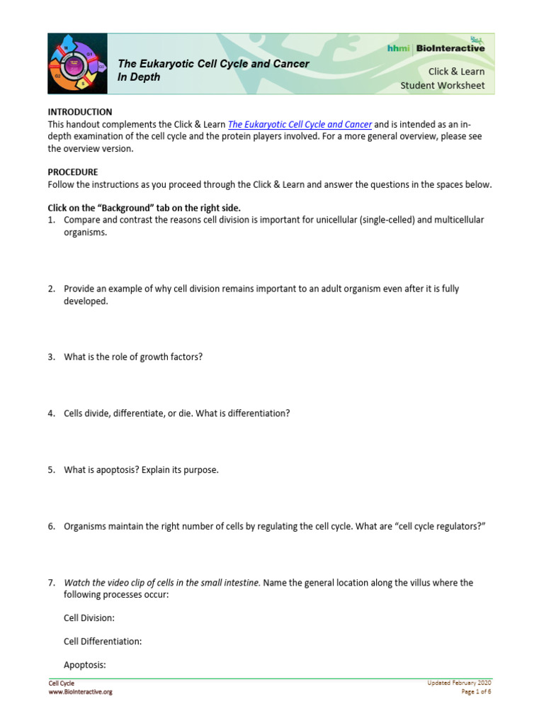 The Eukaryotic Cell Cycle and Cancer (Student Worksheet) | PDF | Cell ...