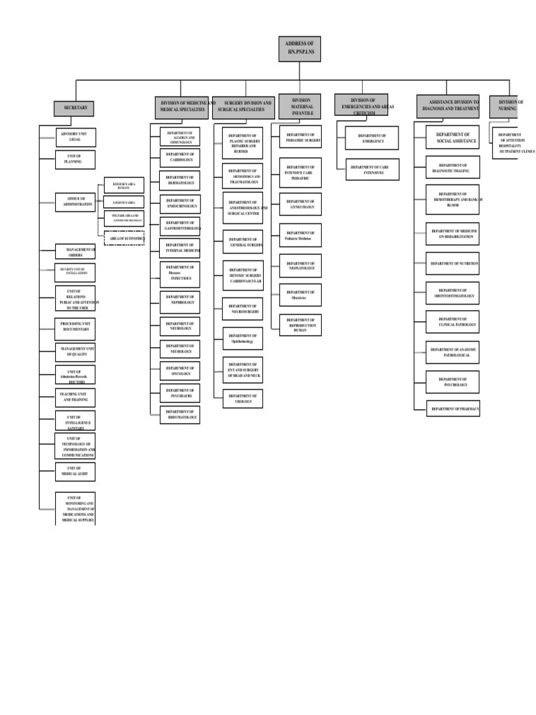 Organizational Chart HN PNP LNS | PDF | Medicine | Surgery