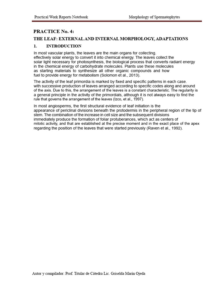 Practice No. 4 Sheet | PDF | Leaf | Plant Morphology