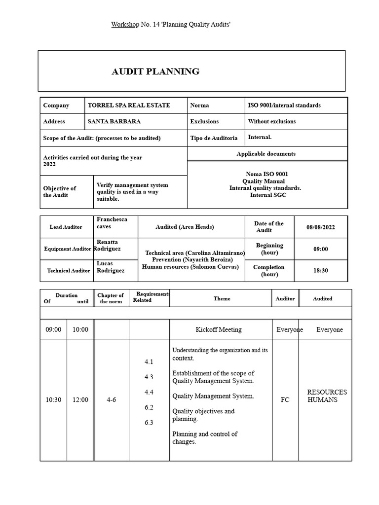 Workshop No. 14 Audit Planning | PDF | Audit | Internal Audit