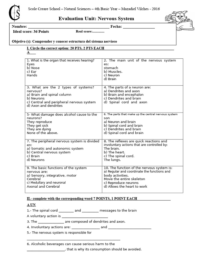 Nervous System Test | PDF | Nervous System | Central Nervous System