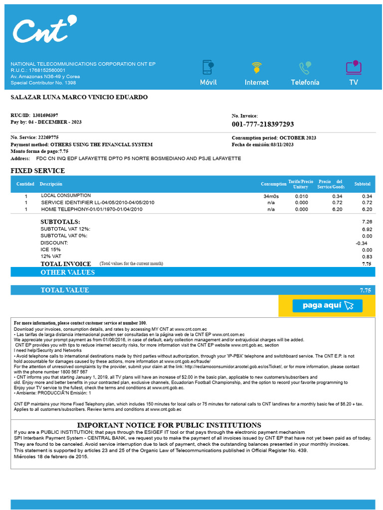 CNT Invoice | PDF | Invoice | Payments