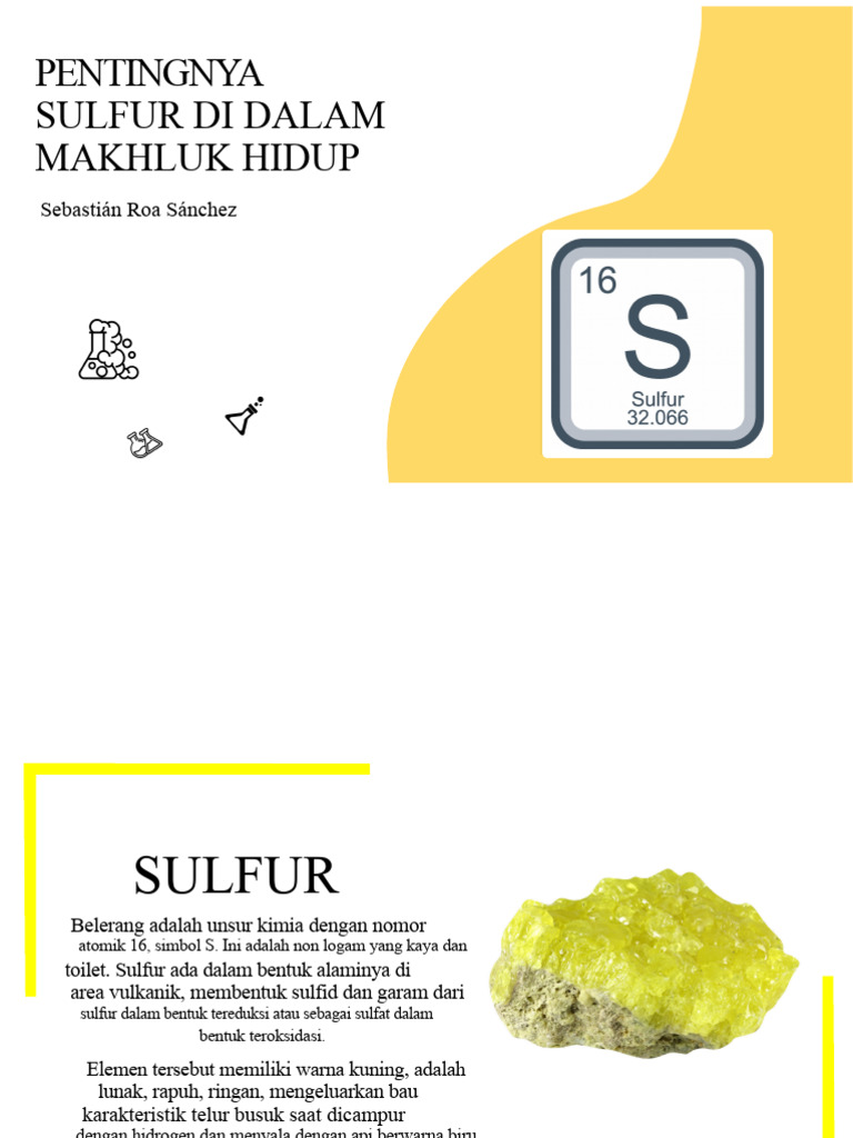 Pentingnya Sulfur bagi Kehidupan | PDF