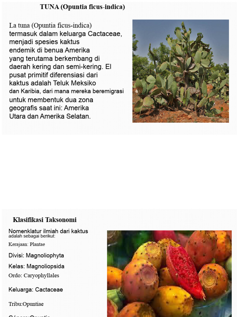 Tuna | PDF
