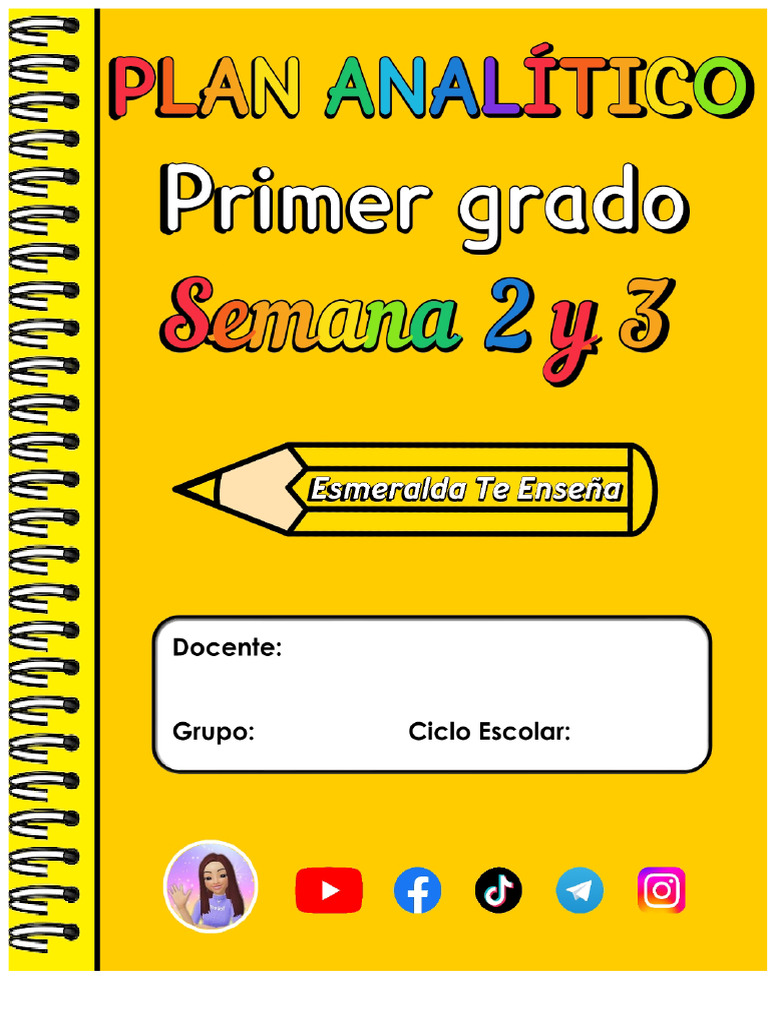 ? 1° S2-S3 - ANALYTICAL PLAN ? Esmeralda Teaches You ? | PDF | Knowledge | Books