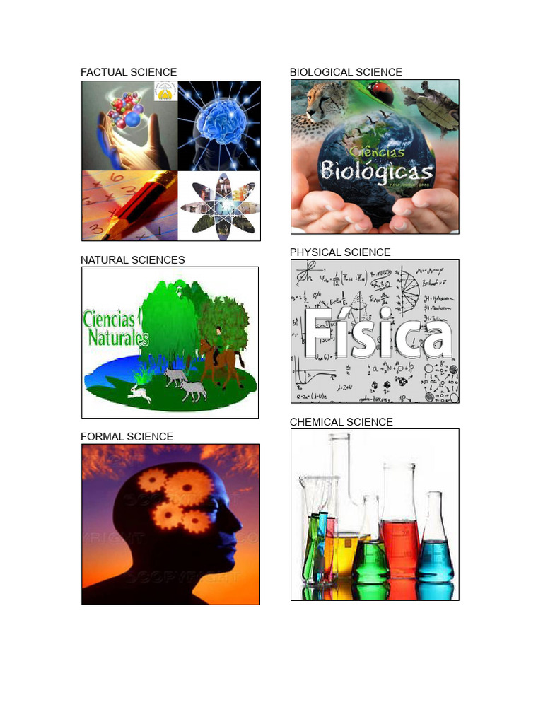 Fact Science Images 1st Basic Section C | PDF