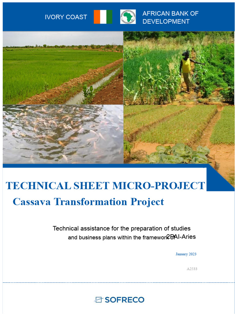 Cassava Processing Project Overview | PDF | Ivory Coast | Economies