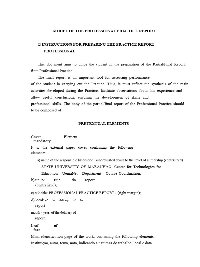 Professional Practice Report Guide | PDF | Computer Network | Internet ...