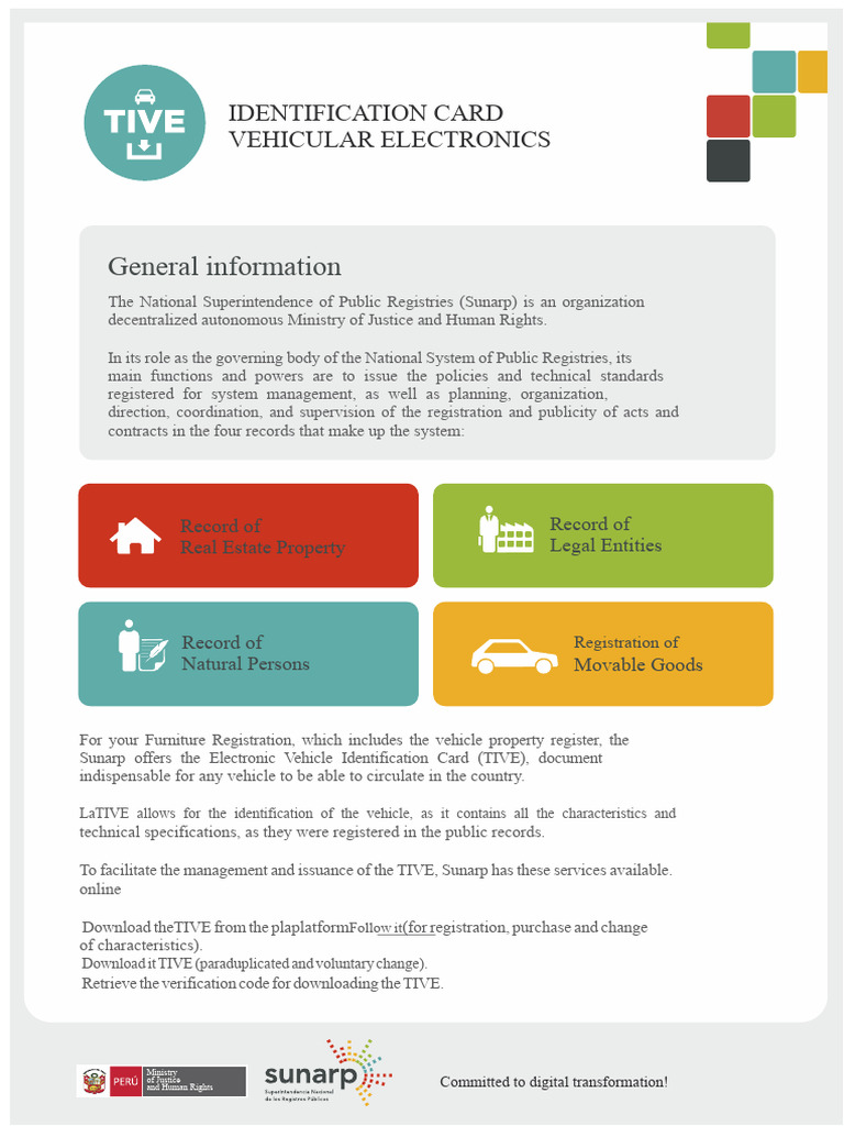 Electronic Vehicle Identification Card - TIVE - General Information | PDF