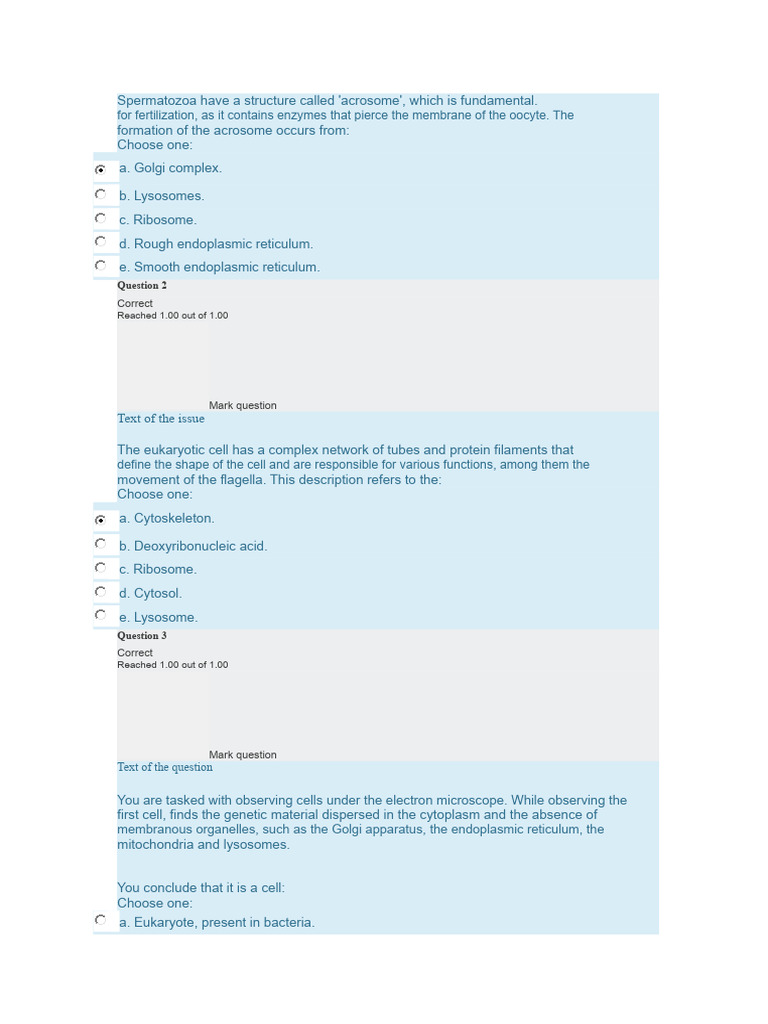 Study of The Proof Base Behavior | PDF | Mitosis | Meiosis