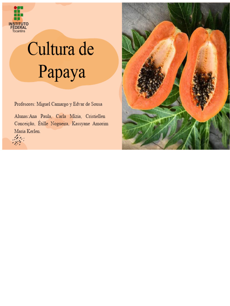 Cultura Del Papayo | PDF | Plantas | Botánica