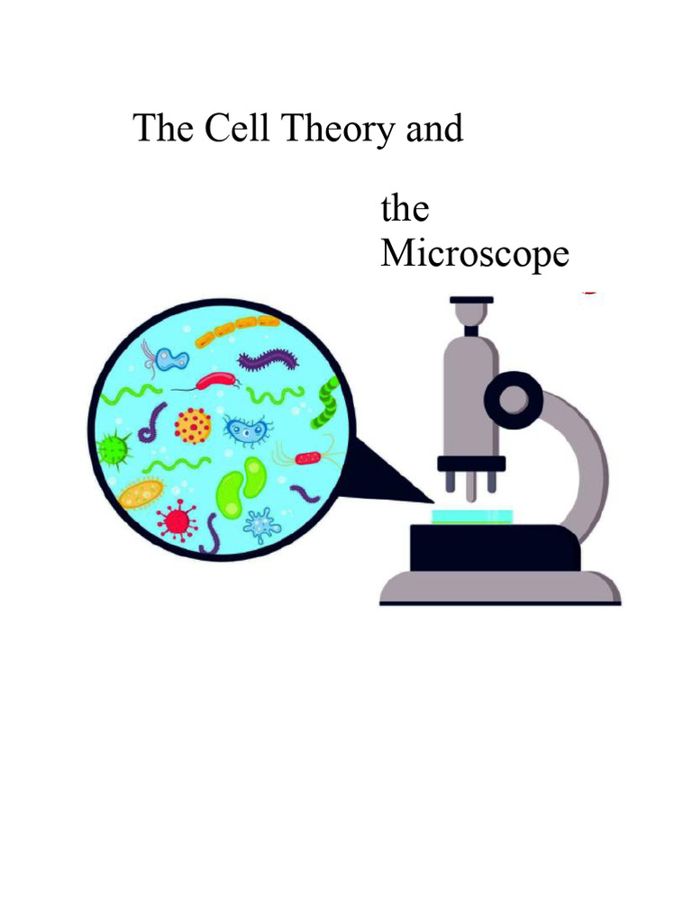 Cell Theory | PDF | Microscope | Light