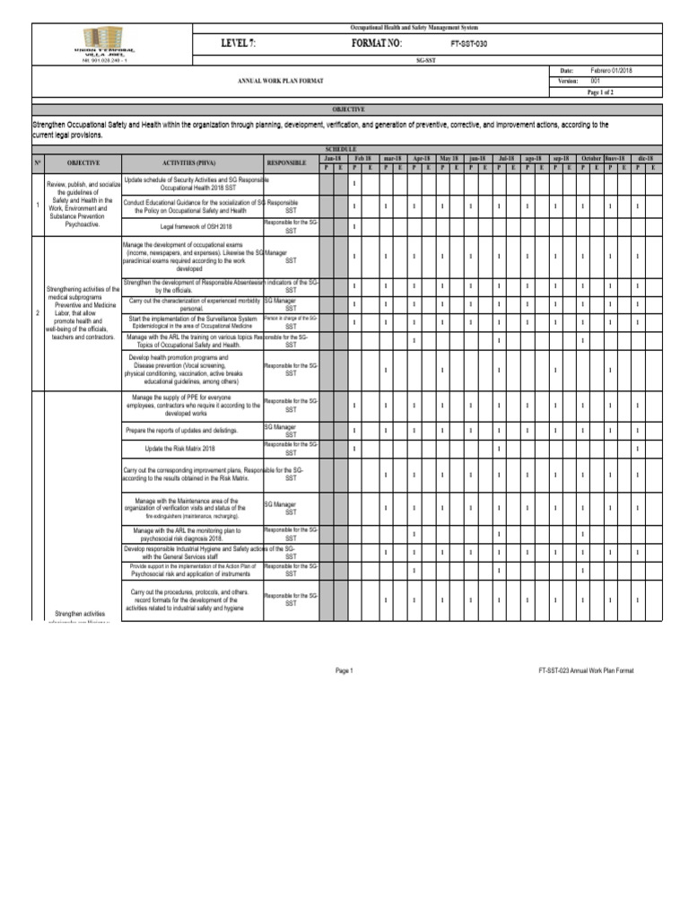 Annual Work Plan Format | PDF | Occupational Safety And Health | Public ...