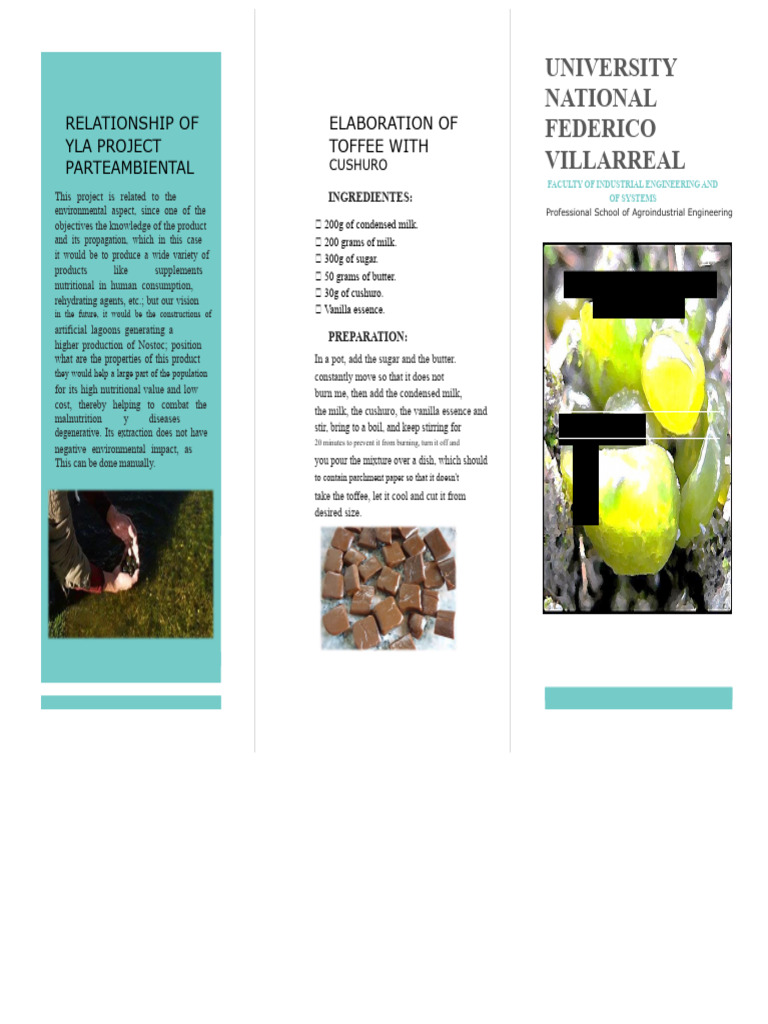 Triptych Cushuro | PDF | Cyanobacteria | Nutrition