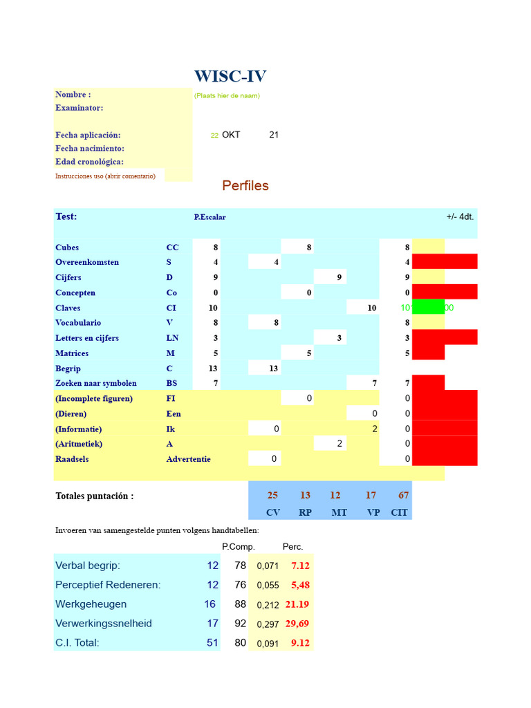 Excel-Sjabloon Wisc V | PDF