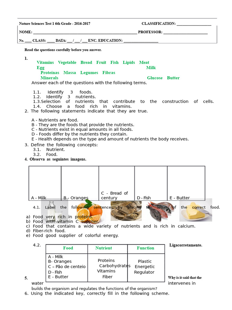Sheet 1 CN 6th Grade | PDF | Foods | Nutrition
