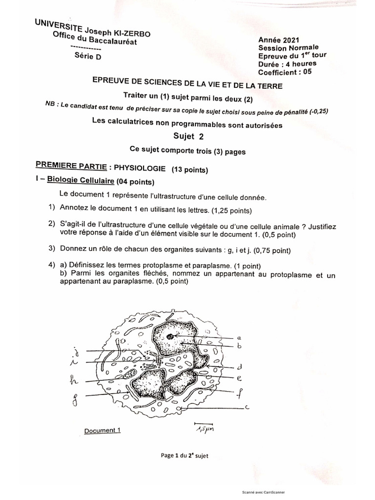 Bac D SVT 2021 | PDF