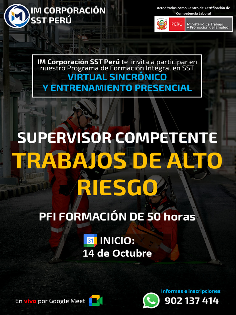 Brochure PFI Supervisor Alto Riesgo 2025 | PDF | Administración de ...
