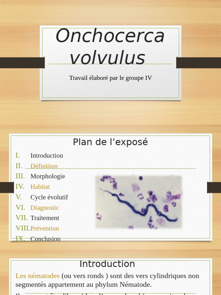 Onchocerca volvulus : Caractéristiques et Traitement | PDF ...