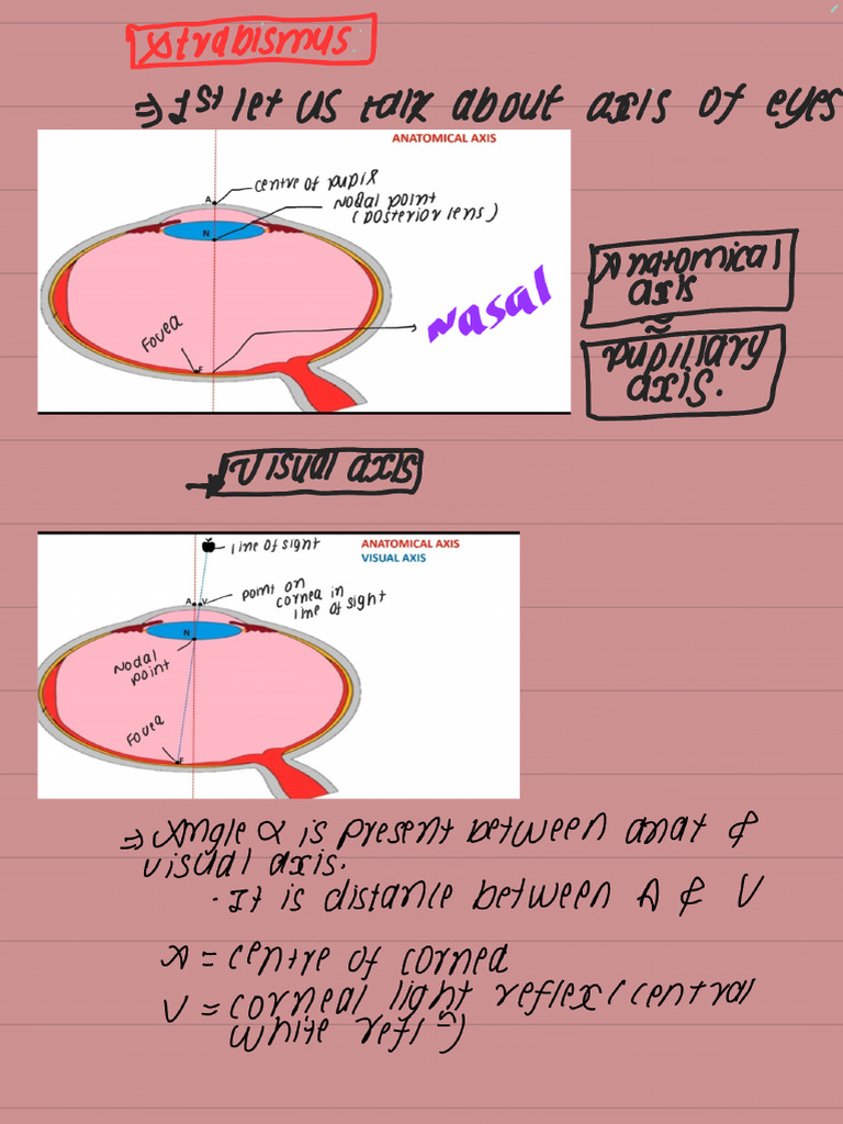 Visual Axis &binocularvision 221205 191042 | PDF