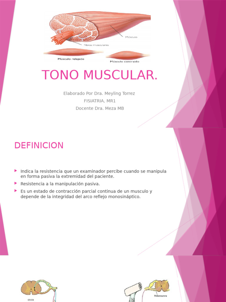Tono Muscular 2025 | PDF