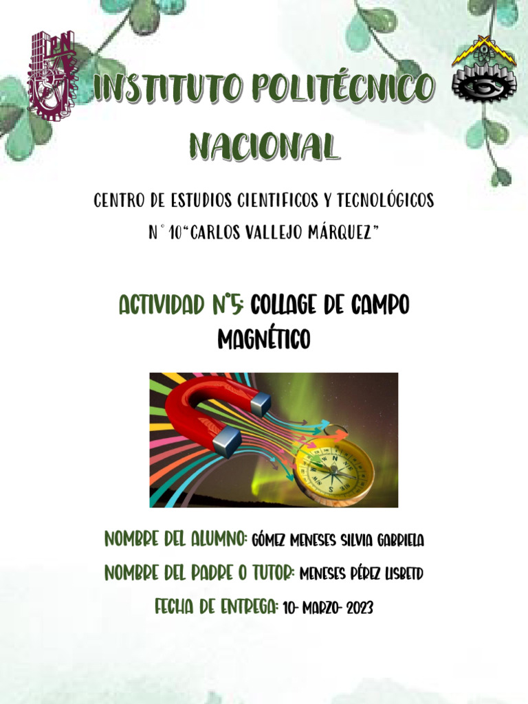 Actividad N°5 Collage de Campo Magnético | PDF