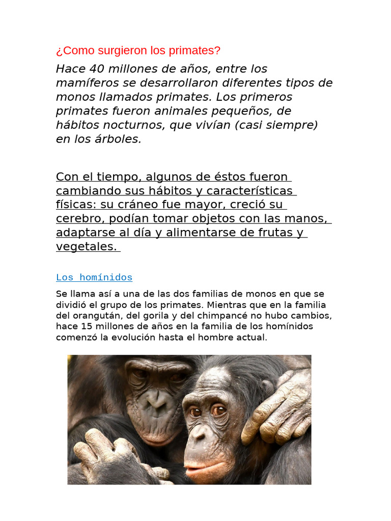 Origen y evolución de los primates | PDF