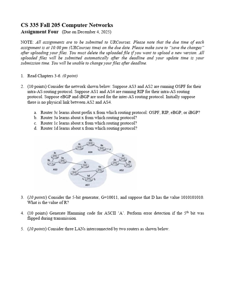 CS 335 Computer Networks Assignment 4 | PDF