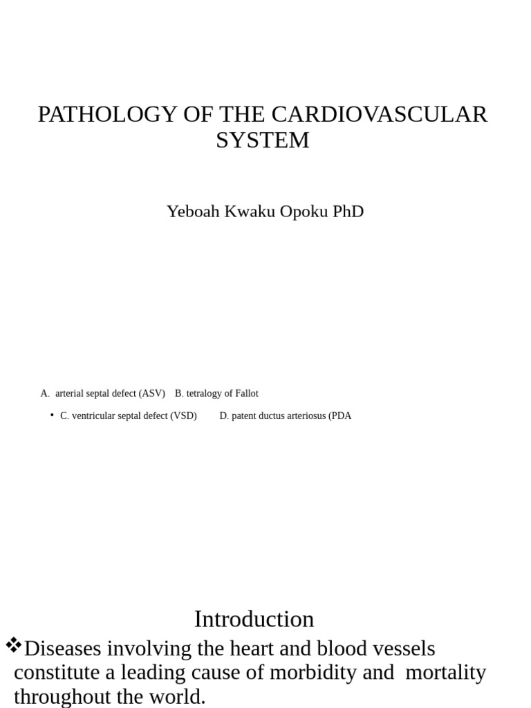 7.0 Pathology of The Cardiovascular System-1 | PDF | Heart | Myocardial ...