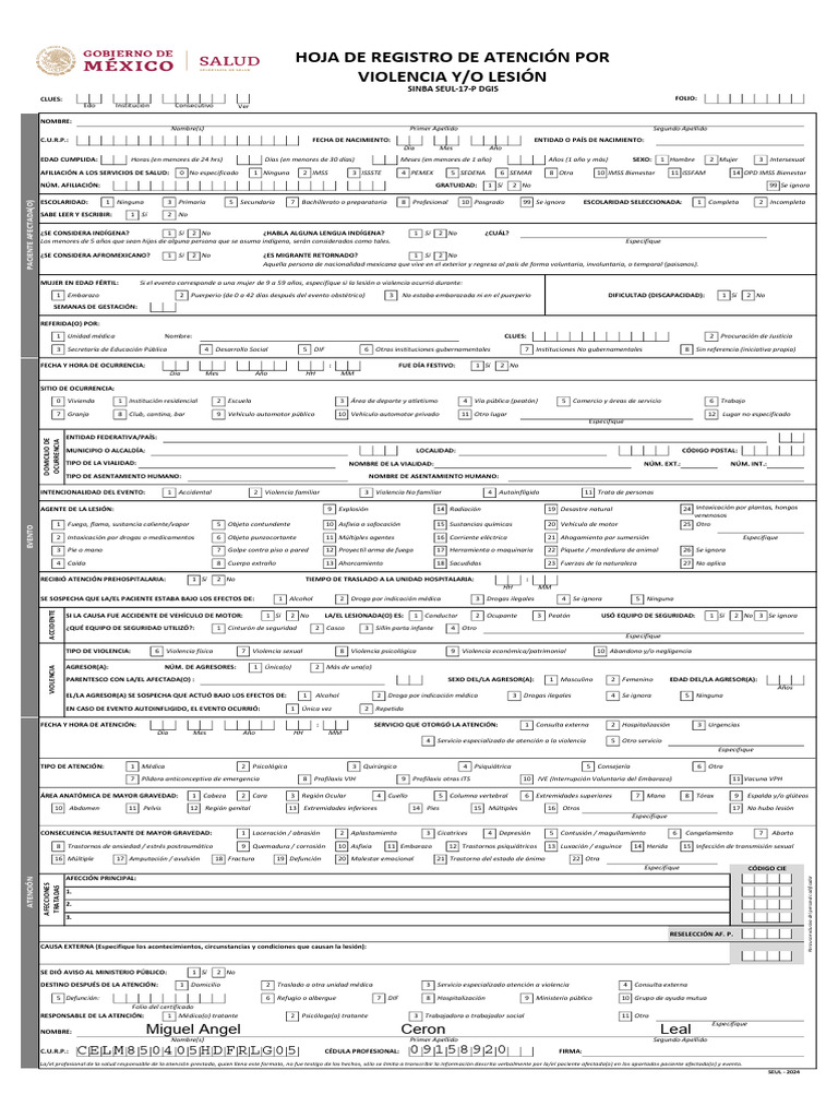 Hoja de Violencia-lesion | PDF | Violencia | Especialidades Medicas
