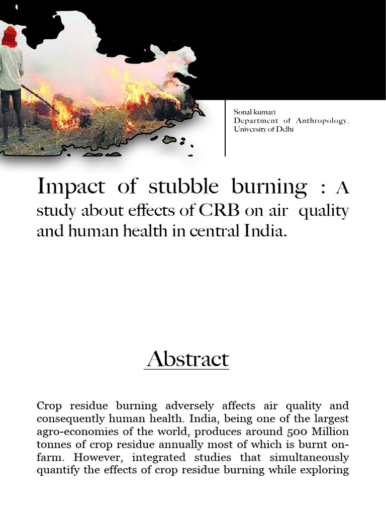 Sonal 13064 Research Report | PDF | Air Pollution | Particulates