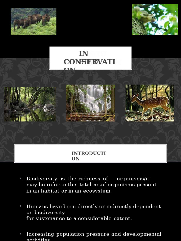 In-Situ Conservation of Biodiversity | PDF | Conservation Biology ...