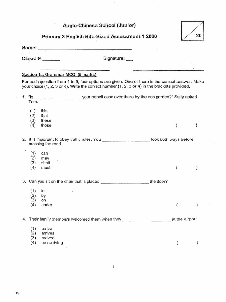 P3 English 2020 CA1 Anglo Chinese Exam Paper | PDF