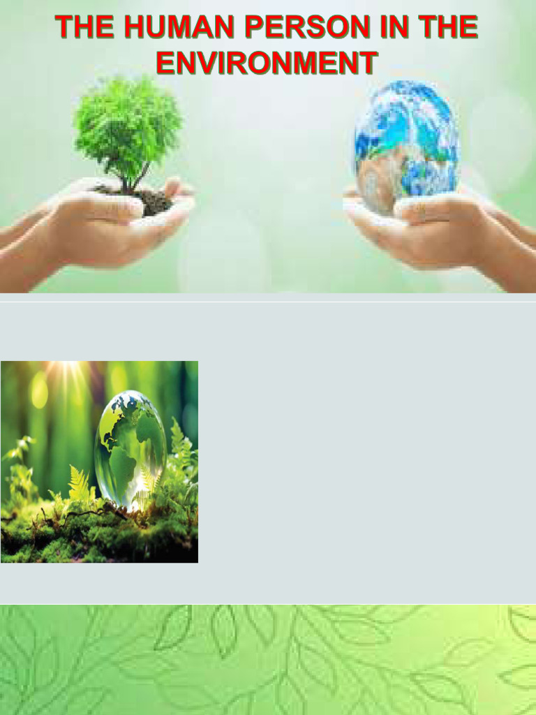 04 Human Person in The Environment | PDF | Flood | Natural Environment