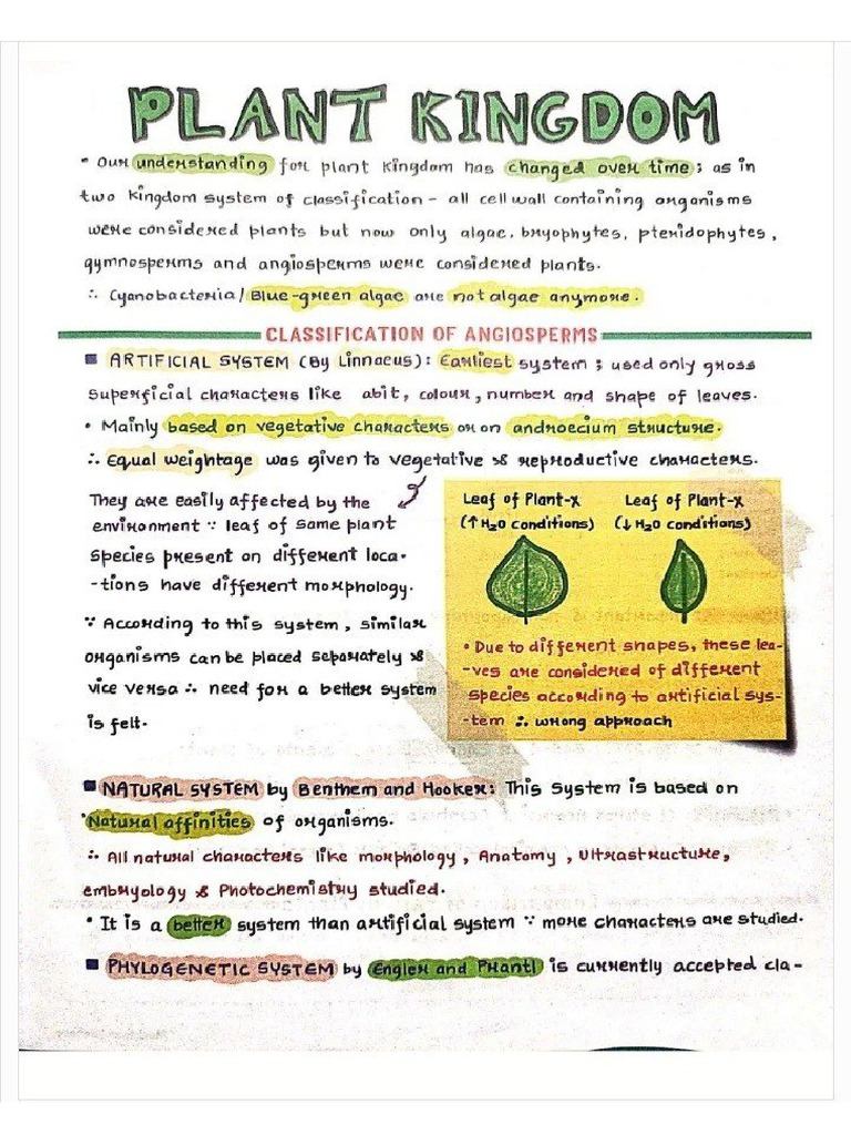 Plant Kingdom | PDF