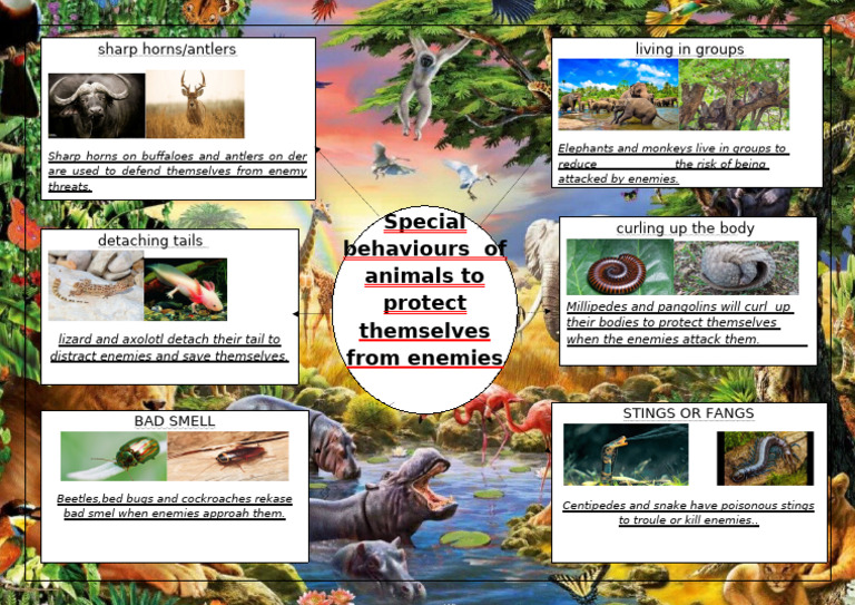 Animal Defense Mechanisms Explained | PDF